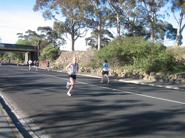 Gallery | Box Hill Athletic Club